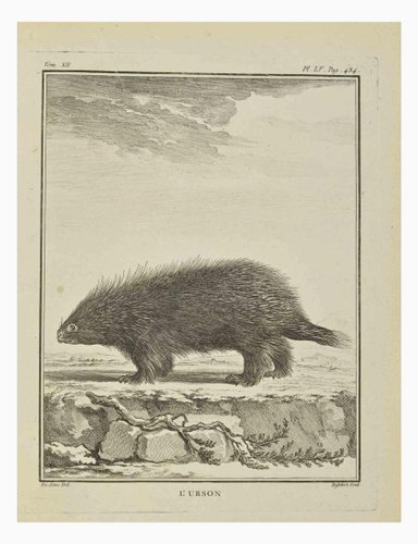 Antoine Defehrt, L'Urson, Etching, 1771 for sale at Pamono