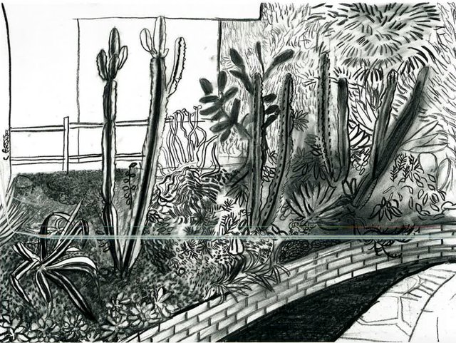 Cactus Garden, 2000, Lithograph, Framed for sale at Pamono
