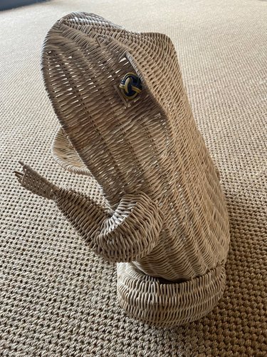 Frog Magazine Holder by Olivier Cajan for sale at Pamono