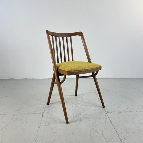 Stuhl aus Bugholz von Ligna Prague, 1950er bei Pamono kaufen