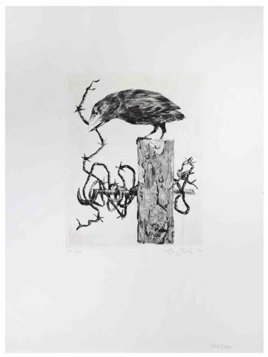 Leo Guida, Crow, Etching, 1972 for sale at Pamono