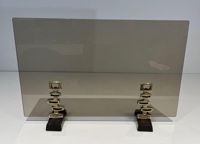 Modernist Smoked Glass and Bronze Firewall, 1970s for sale at Pamono