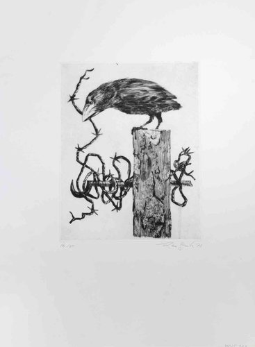 Leo Guida, Crow, Etching, 1972 for sale at Pamono