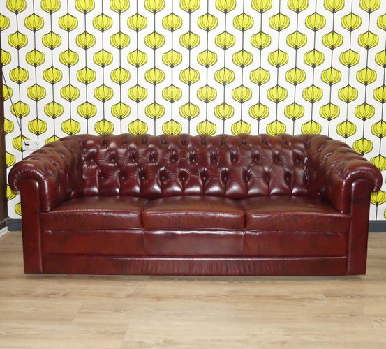 Sofá de tres plazas Chesterfield de escay sangre, años 70 en venta en ...