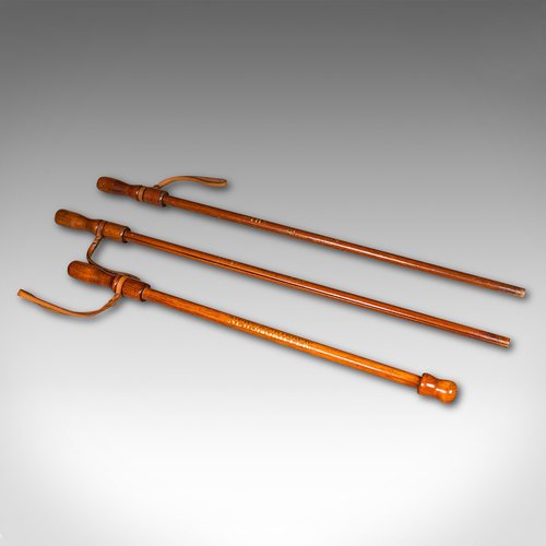 Vintage English Newspaper Grippers in Beech, 1980, Set of 3 for sale at ...