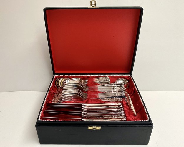 Vintage Cutlery Stainless Steel Set Solingen in Original Case, Germany ...