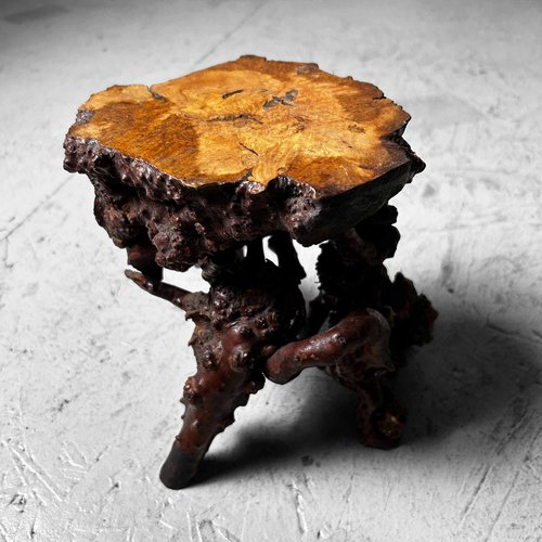 Small Wooden Burl Root Display, 1920s for sale at Pamono