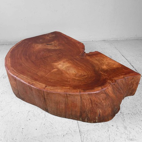 Yakusugi Wooden Tree Trunk Display, Japan, 1950s for sale at Pamono