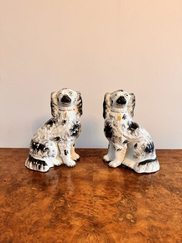 Antique Victorian Seated Staffordshire Dogs, 1880, Set of 2 for sale at ...