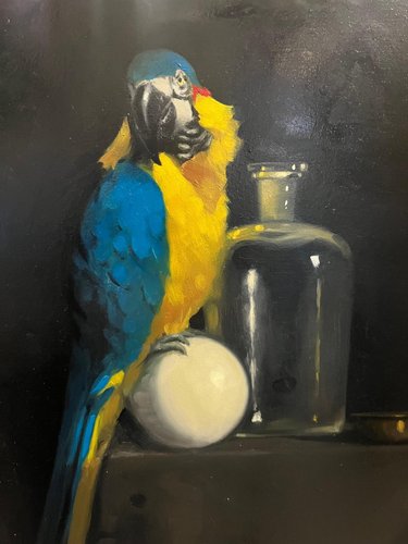 Luisa Albert, The Intruder Macaw Parrot, Oil Painting, 2018 for sale at ...