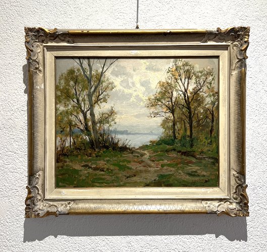 Luigi Comolli, Lungo il Ticino, Oil on Wood, Framed for sale at Pamono