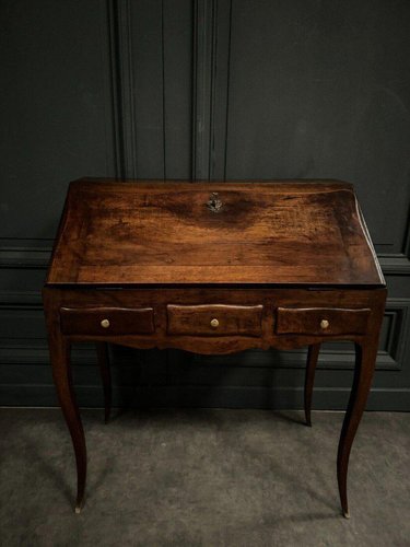 Small Speed Bump Desk in Walnut with Drawers, Late 19th Century for ...