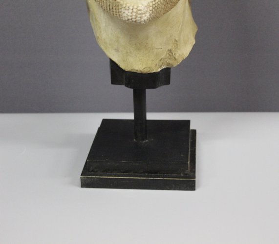 Plaster Rampin Rider's Head, 20th Century for sale at Pamono
