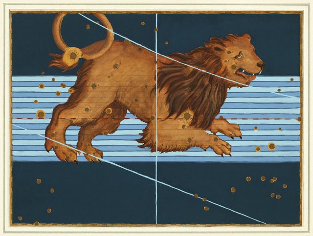 A 17th Century Engraving of the Zodiac Sign Leo for sale at Pamono