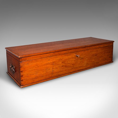 Large English Walnut Storage Chest for sale at Pamono