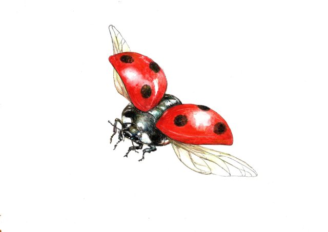 Juris Utāns, Flying Ladybug, 2000s, Mixed Media & Paper for sale at Pamono