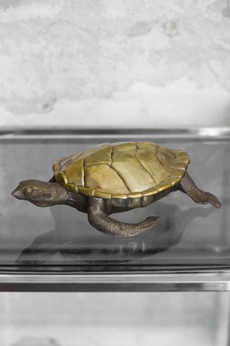 Brass Turtle Storage Box for sale at Pamono