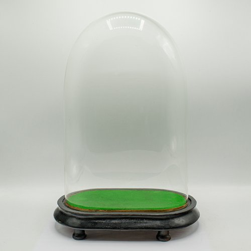 English Glass Clock Oval Collectors Dome Case, 1890s for sale at Pamono