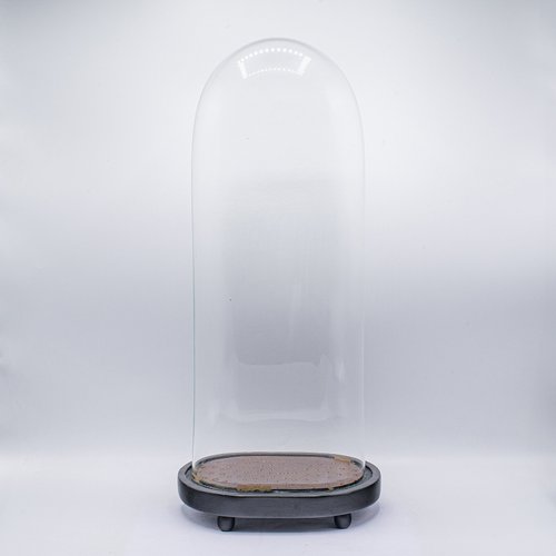 Oval Antique Diorama Dome, 1890s for sale at Pamono