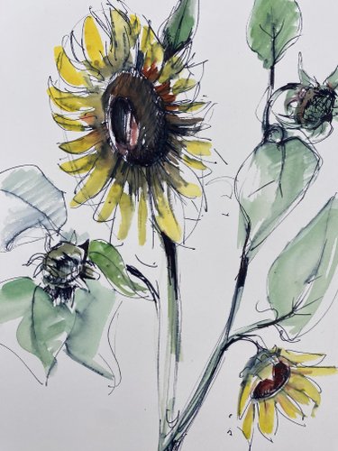 Hans Ott, Sunflower, 1968, Ink and Watercolor Drawing for sale at Pamono