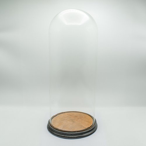 Antique English Victorian Dome, 1870s for sale at Pamono
