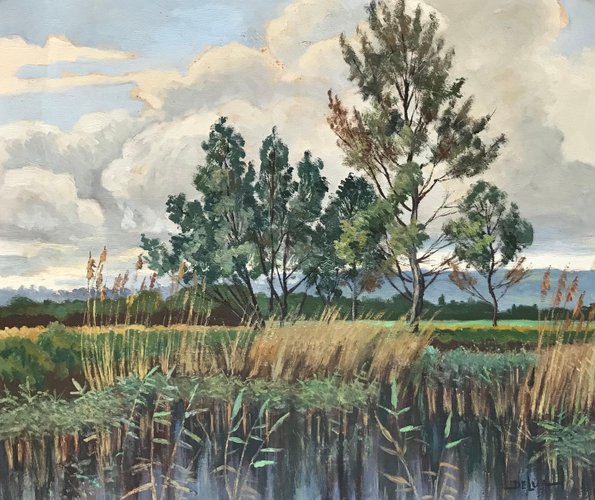John Henri Deluc, The Swamp, Troinex Geneva, Oil on Canvas, 1939 for ...