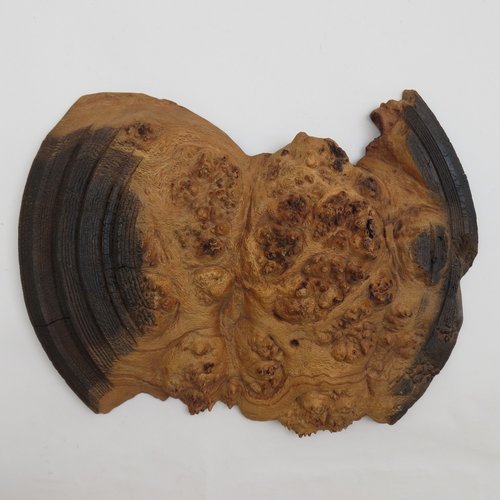Mike Chai, Very Large Wall Sculpture, 1980, Burr Oak for sale at Pamono