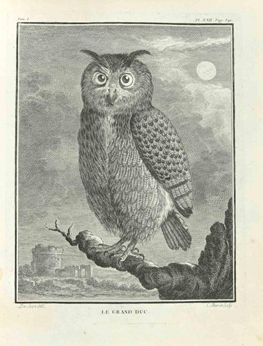 Jacques Baron, Le Grand Duc, Etching, 1771 for sale at Pamono