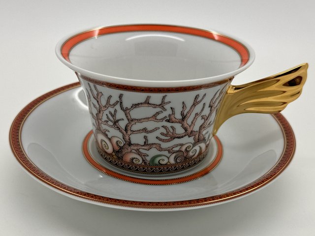 Etoiles De La Mer Tea Cup and Saucer by Versace for Rosenthal, 2017 ...