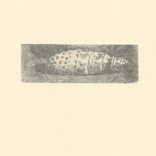 Giorgio Morandi, Shell, 1921-1957, Lithograph for sale at Pamono