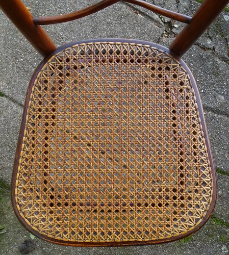 Thonet N°62 Stuhl mit Geflecht von Thonet, Wien, 1890er bei Pamono kaufen