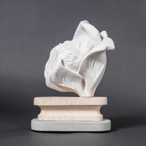 Marcia Bennett-Male, Chalk Pit Cauliflower, Stone for sale at Pamono