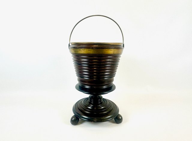 19th Century Regency Mahogany Ebonized Wooden Peat Bucket with Brass ...