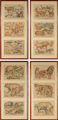 After Gabriel Gostiaux, French Animal Triptychs, 1890, Lithographs, Set ...