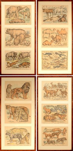 After Gabriel Gostiaux, French Animal Triptychs, 1890, Lithographs, Set ...