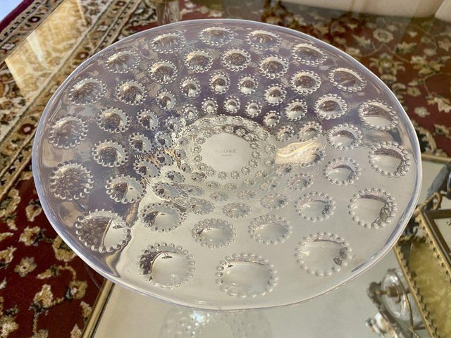 Presentation Plate Aster Number 2 by René Lalique for sale at Pamono