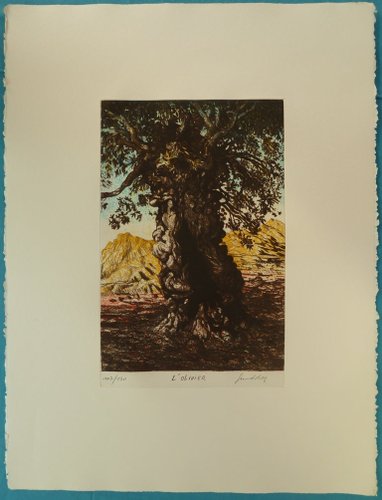 Gerard Diaz, The Olive Tree, Engraving for sale at Pamono