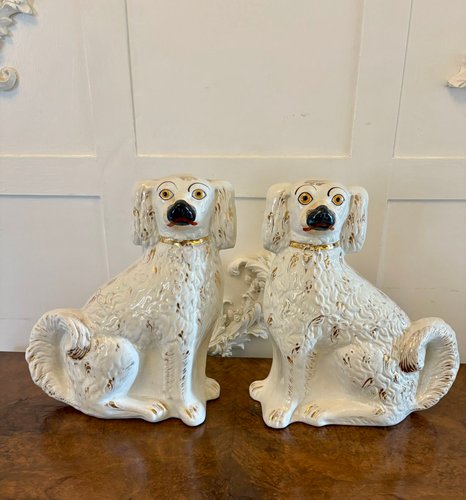 Antique Victorian Staffordshire Dogs, 1880s, Set of 2 for sale at Pamono