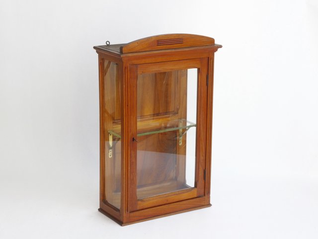 English Art Nouveau Wooden Wall Display Cabinet for sale at Pamono