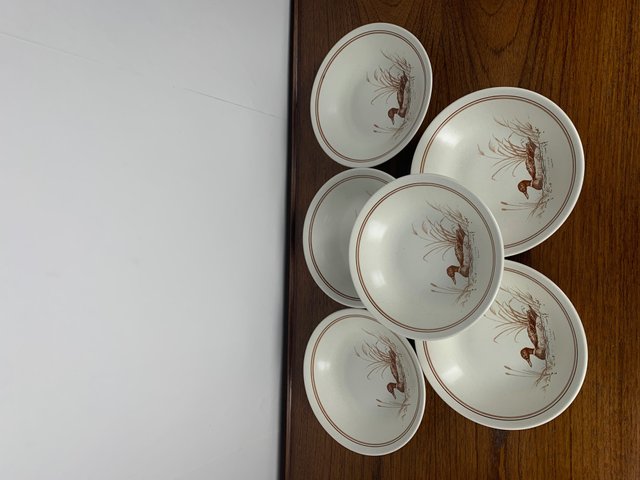 Vintage Deep Plate Set with Duck Pattern & Red-Brown Trim from ...