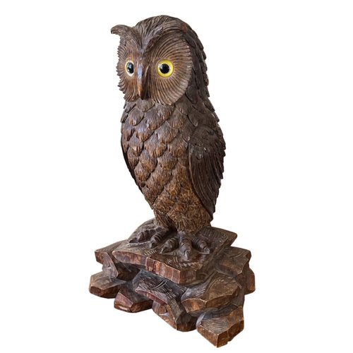 Swiss Black Forest Carved Owl with Glass Eyes, 1900s for sale at Pamono