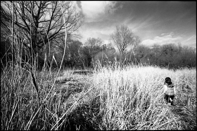 Paul Cooklin, Girl in Grass Clearing, Silver Gelatin Photograph ...