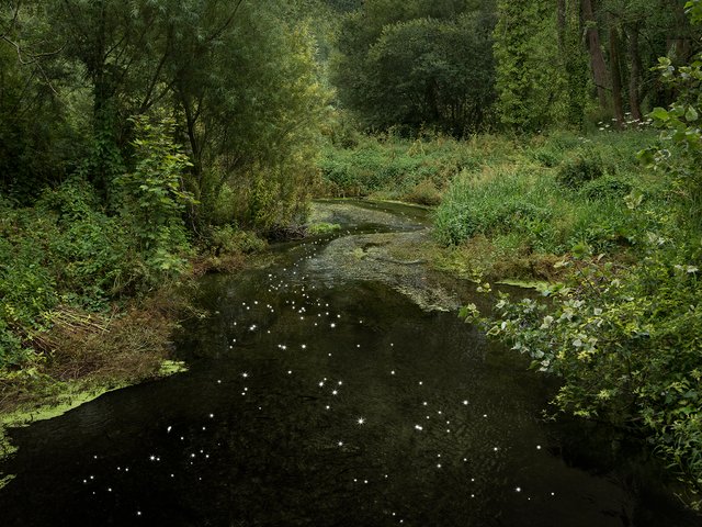Ellie Davies, Chalk Streams 10, 2023, Print for sale at Pamono