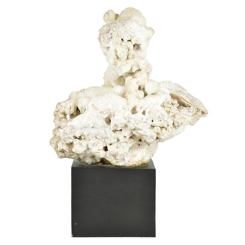 Calcite Concretion on Wooden Base for sale at Pamono