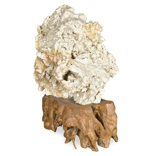Calcite Concretion on Teak Root Base for sale at Pamono