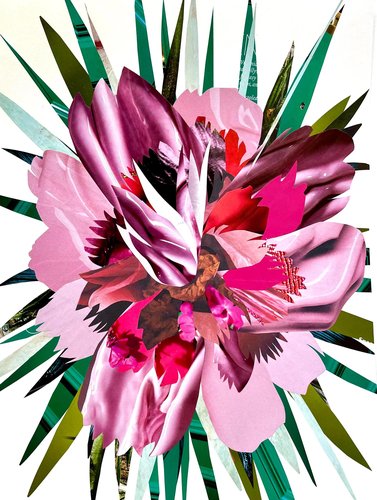 Maria Donata Papadia, Dianthus Caryophyllus, Collage di carta, Cornice ...