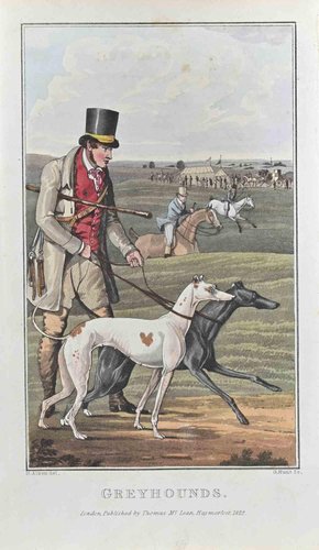 Henry Alken, Greyhounds, Etching, 1822 for sale at Pamono