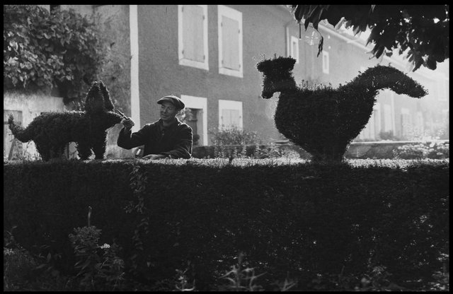 Robert Doisneau, The Boxwood Cutter, 1940s-1950s, Silver Gelatin Print ...