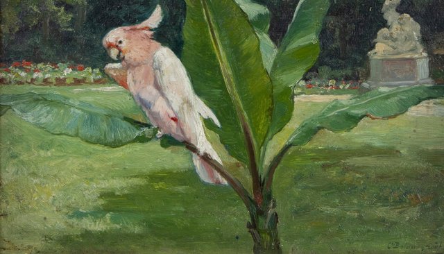 Charles Hd Boland de Spa, The Pink Cockatoo, 1895, Oil on Panel for ...
