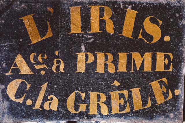 Antique Hand-Painted French Sign - Hail Insurance, 1890s for sale at Pamono